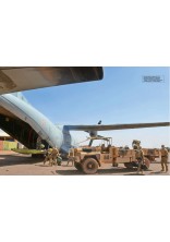 La Task Force SABRE. Les forces spéciales françaises au Sahel